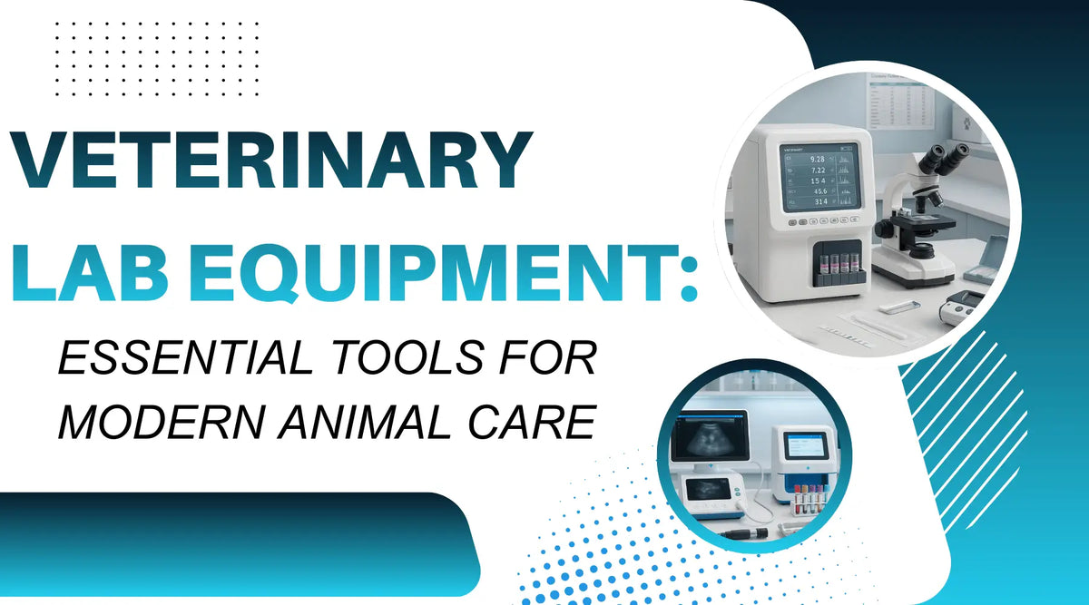 Veterinary Lab Equipment: Essential Tools & Buying Guide – Lab ...